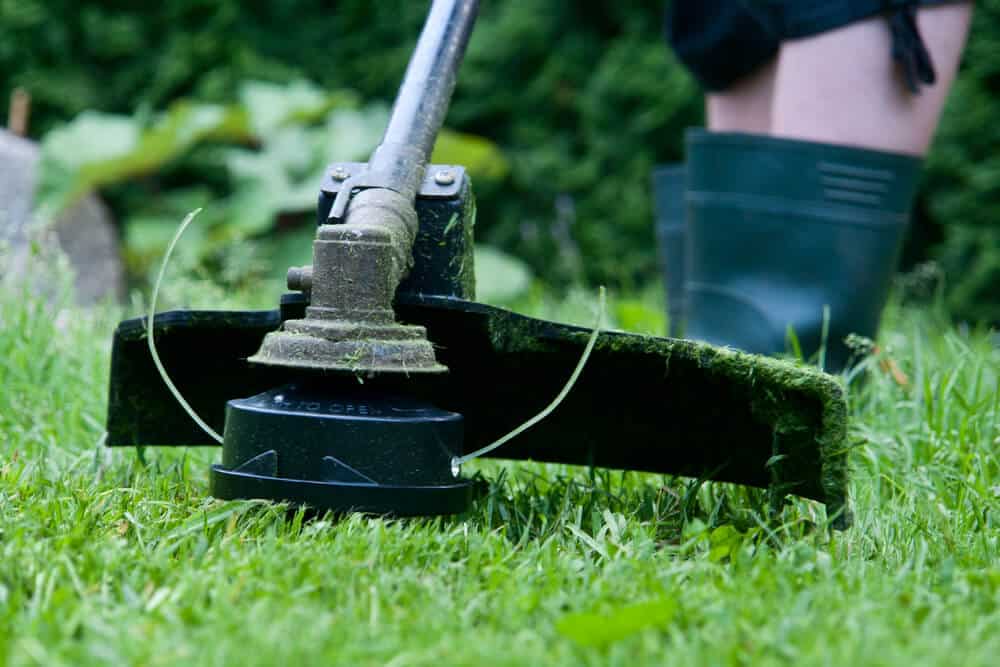 Best Line Trimmer Australia Checkout Why Aussies Love 1 Best Line Trimmer Australia Checkout Why Aussies Love 1