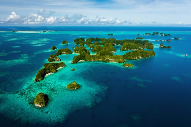 5+ Things To Do In Palau Should You Visit (Ultimate Guide)